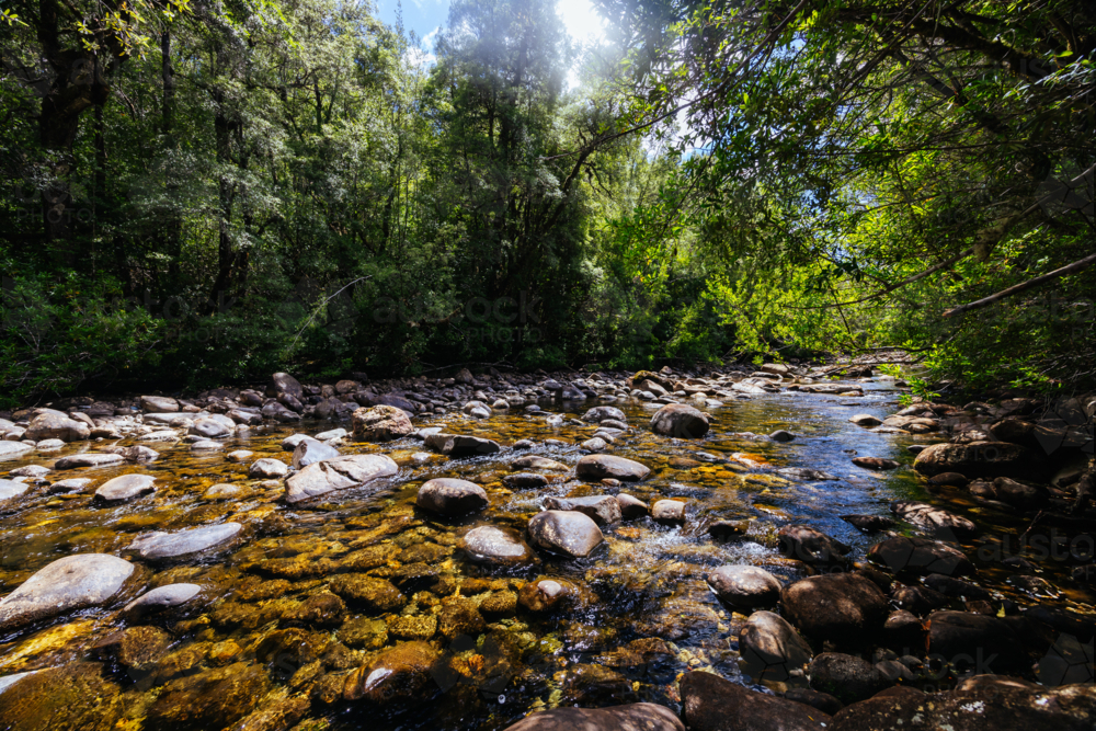 Image of Water around Franklin River Nature Trail in Franklin-Gordon ...